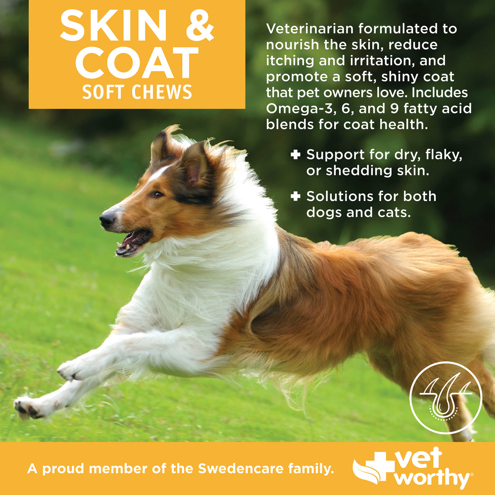 Dog Skin & Coat – Vet Worthy