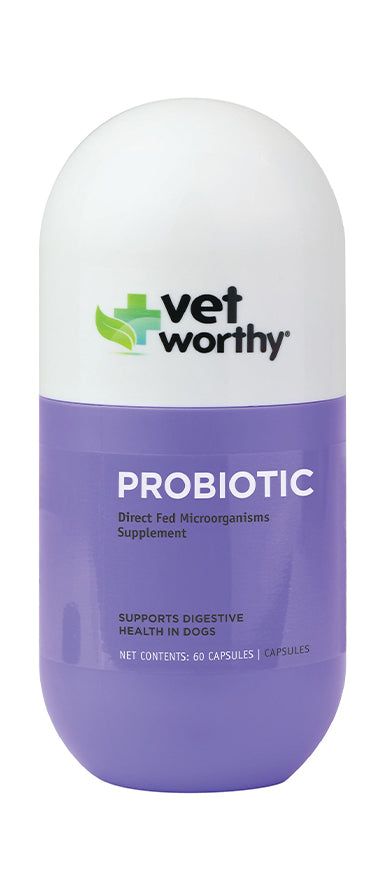 Dog Digestion & Probiotics – Vet Worthy