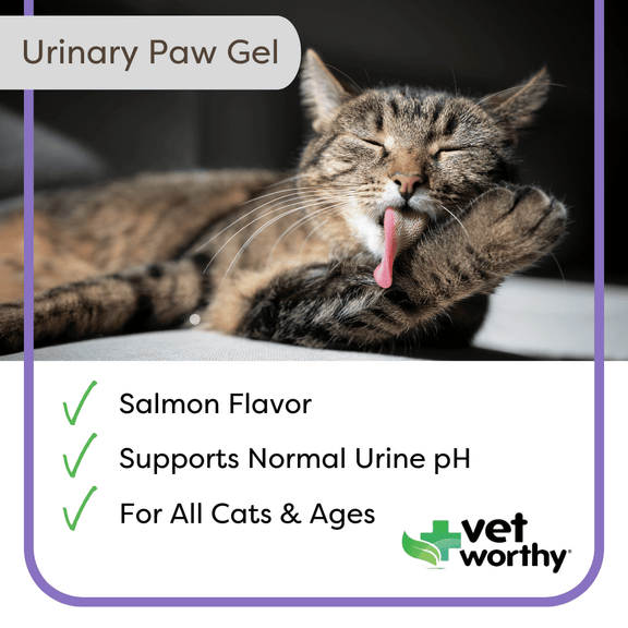 Urinary Paw Gel for Cats - 3 oz – Vet Worthy